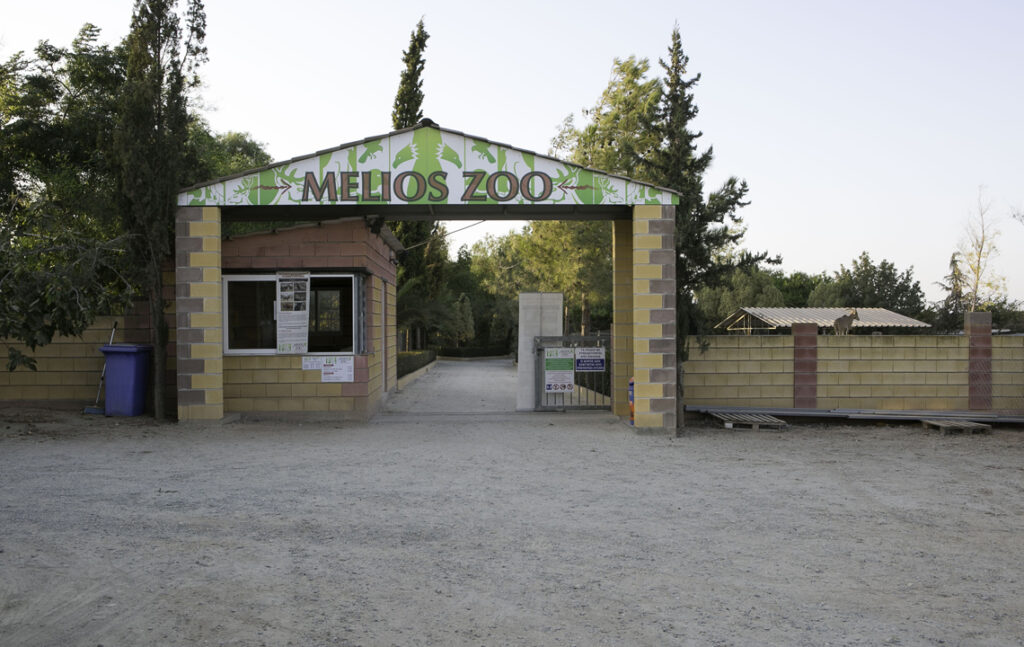 Melios Zoo: Νεκρή η μία τίγρης της Σιβηρίας (BINTEO) | AlphaNews