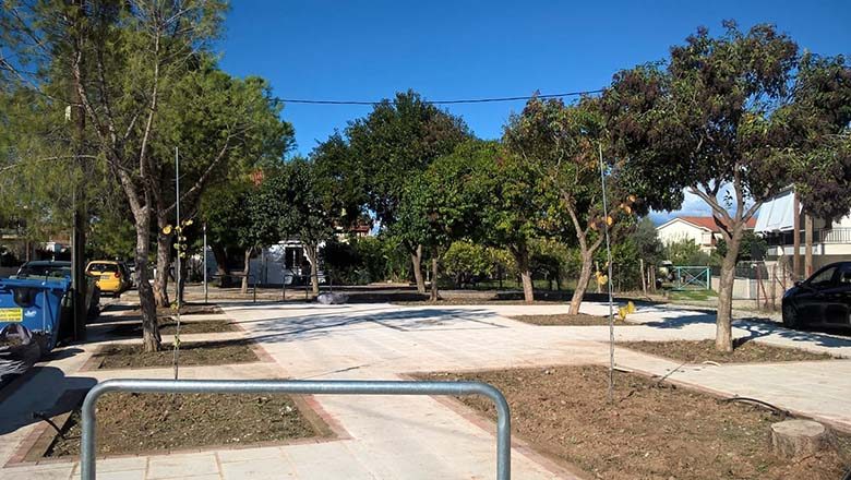 Ποια είναι τα κατάλληλα δέντρα για δεντροφύτευση στις πόλεις (ΛΙΣΤΑ ...