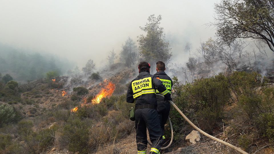 Θέλεις να γίνεις "Παρατηρητής των Δασών και της Υπαίθρου" για το 2020 ...
