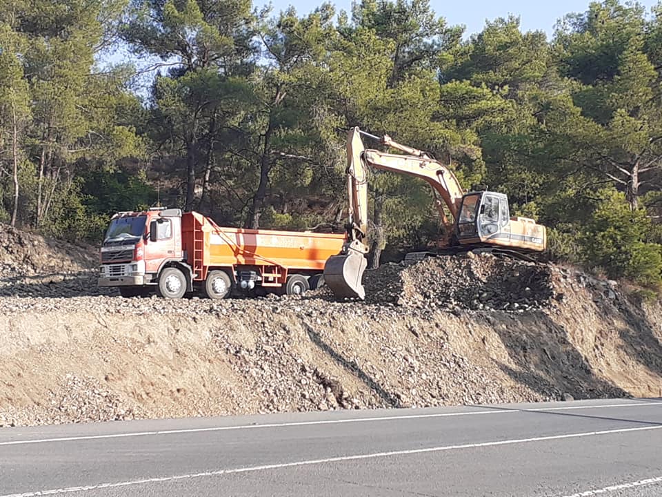 "Θέρισαν" οκτώ πεύκα χωρίς άδεια και τους επιβλήθηκε πρόστιμο (ΦΩΤΟ ...