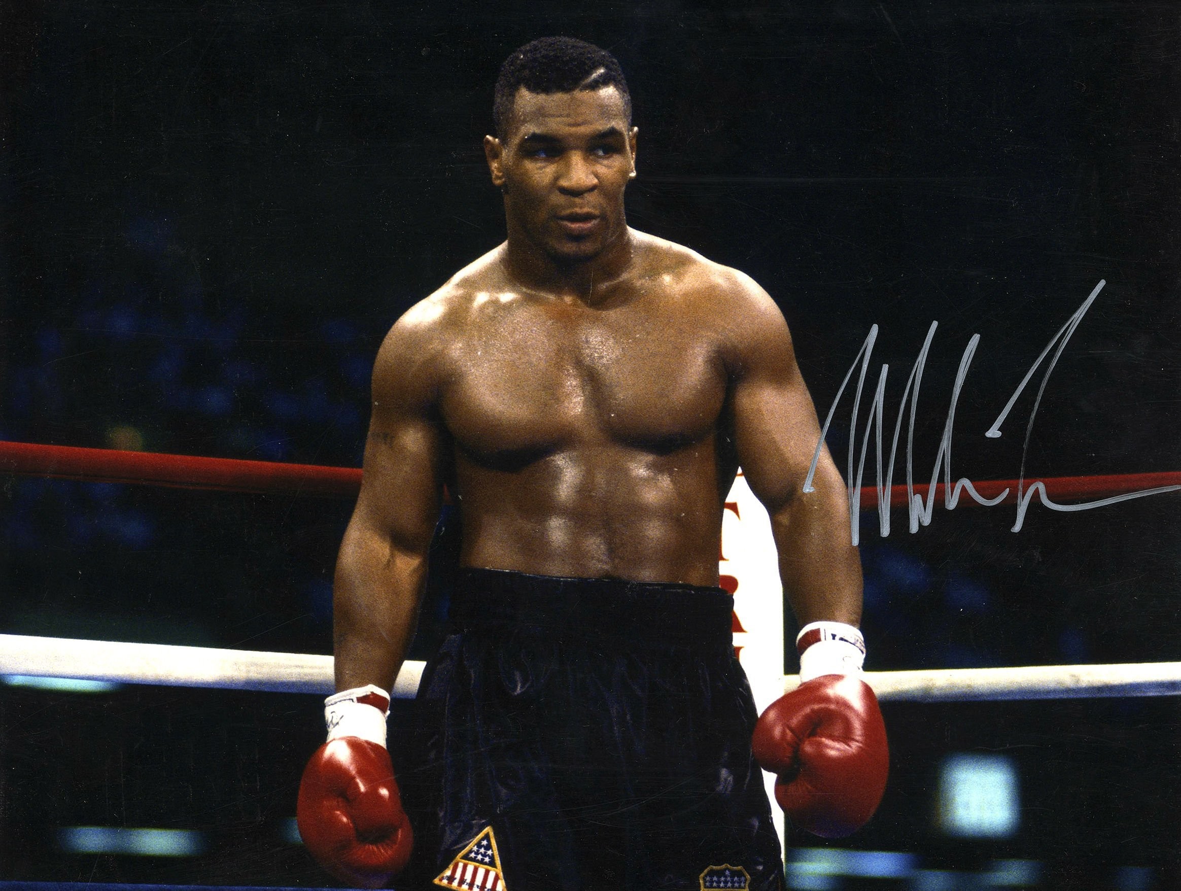 Mike Tyson: Ο θρύλος και πρωταθλητής του μποξ ετοιμάζει σειρά για τη ...