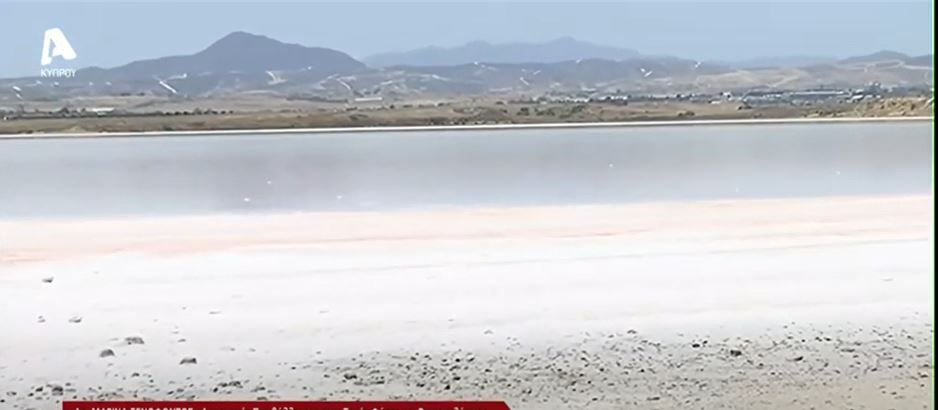 ΒΙΝΤΕΟ: Γιατί η αλυκή της Λάρνακας "βάφτηκε" ροζ, ενώ λείπουν τα ...