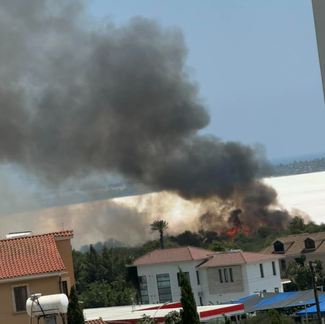 Πυρκαγιά στην Αλυκή Λάρνακας: Απειλούνται κατοικίες κι υποστατικά από ...