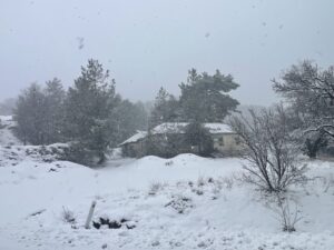 Ψυχρή «βουτιά» της θερμοκρασίας τις επόμενες ημέρες | AlphaNews