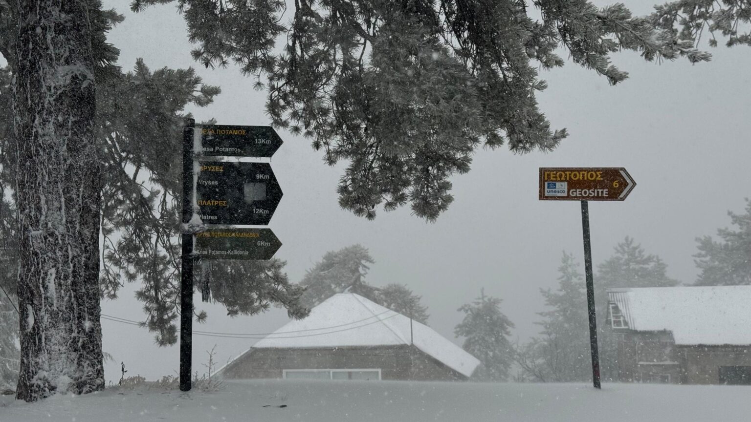 CHANNEL 4 | AlphaNews