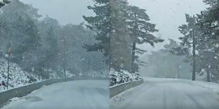 LIVE ΒΙΝΤΕΟ: Ντύνεται στα λευκά το Τροόδος | AlphaNews